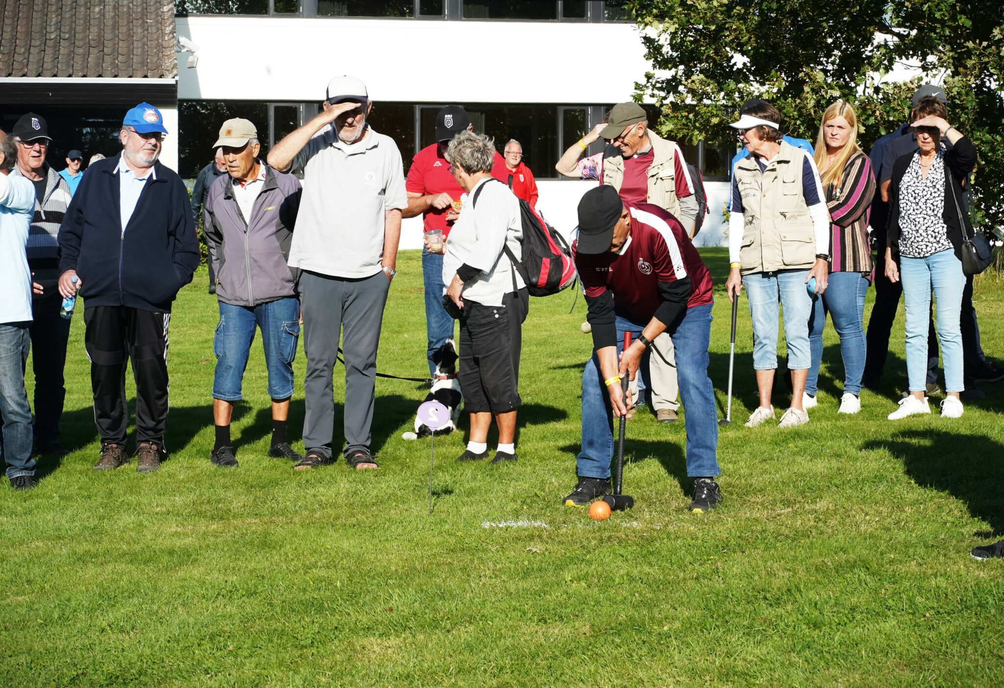 Benløse vinder DM i krolf for hold 2023 - Dansk Arbejder Idrætsforbund